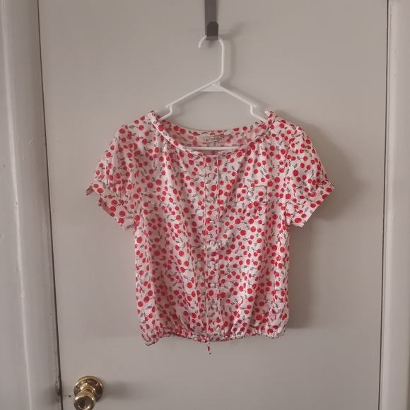 Tops | Lwi Satin Cherry Crop Top | Poshmark